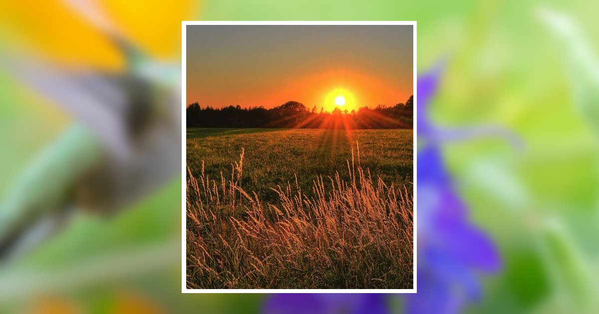 Marcia A. Whitsel Obituary March 30, 2024 - Anderson Family Funeral Homes