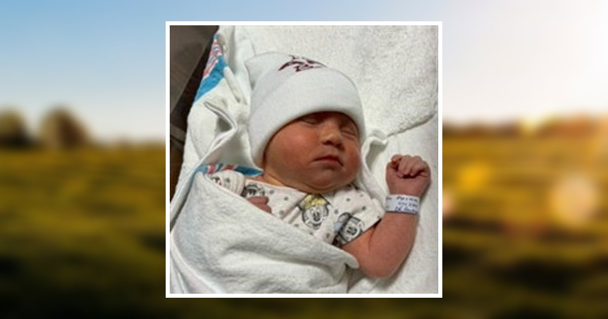 Emily Rose Fultz Obituary July 29, 2022 - Mount Pleasant Funeral Home