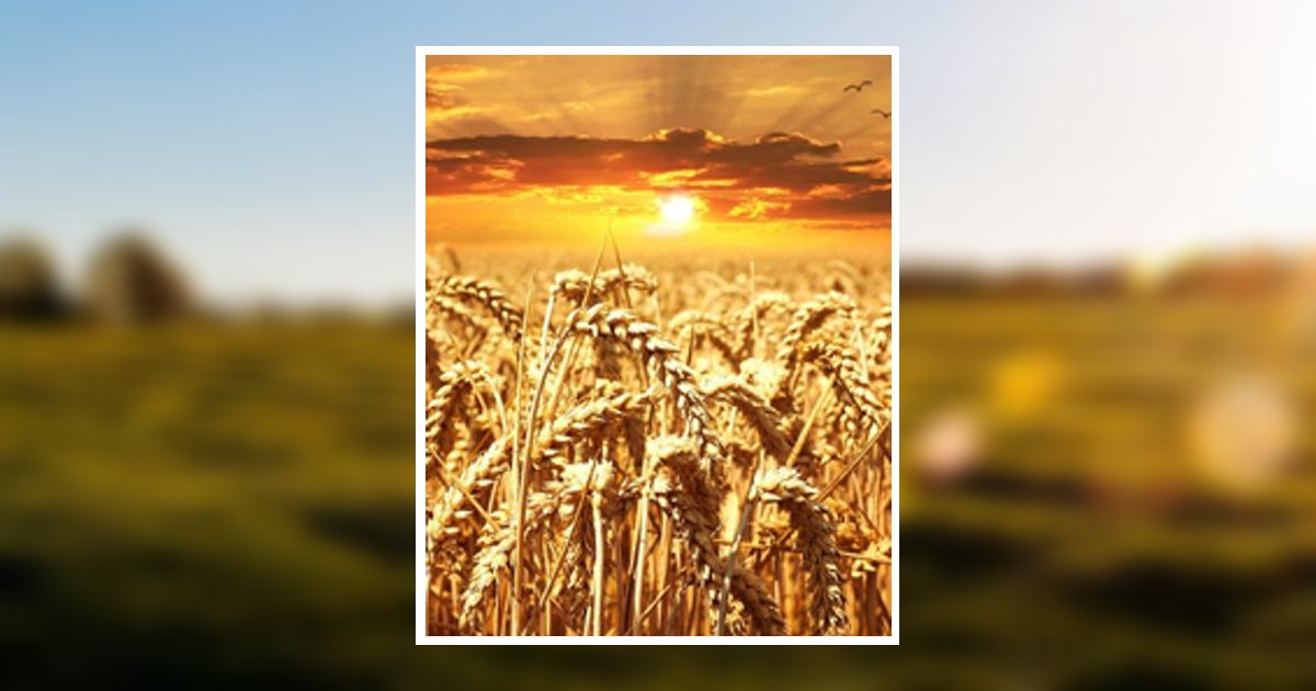 Wayne Doell Obituary March 9, 2019 - Heinz Funeral Home & Cremation