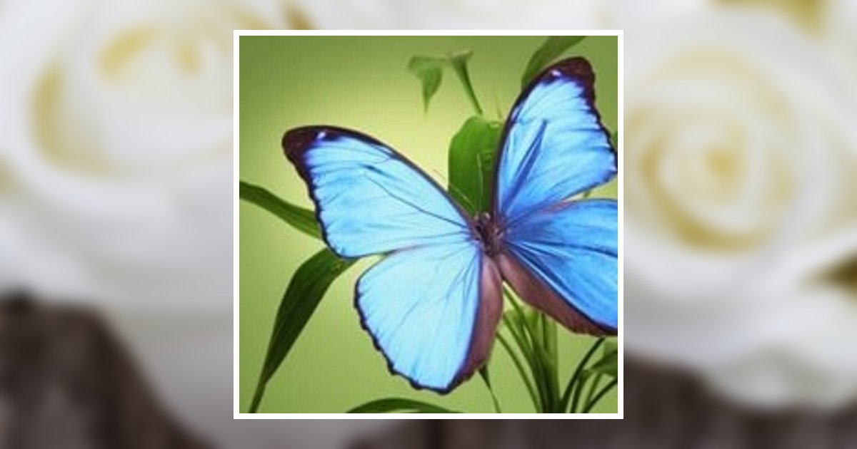 Sue Elsie Rush Obituary November 14, 2024 - Striffler Family Funeral Homes