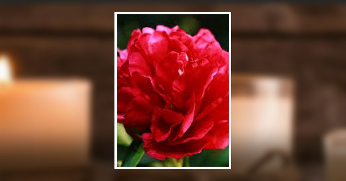 Marjorie June Chester Obituary March 27, 2018 - Tharp Funeral Home ...