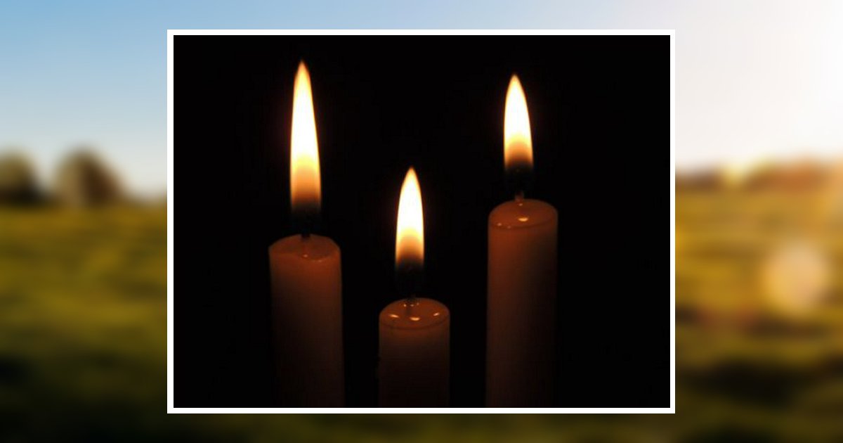 Michael Sepe Obituary November 14, 2013 - Spring Hill Memorial Park ...