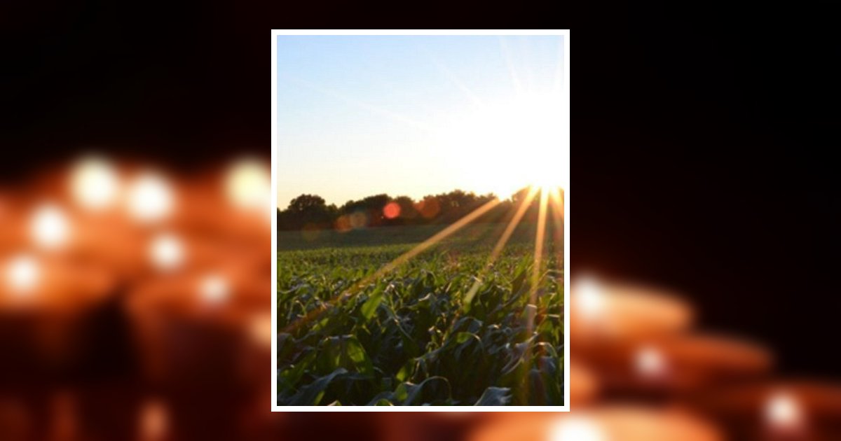 David W. Lawson Obituary May 25, 2024 - Eggleston Meinert & Pavley ...