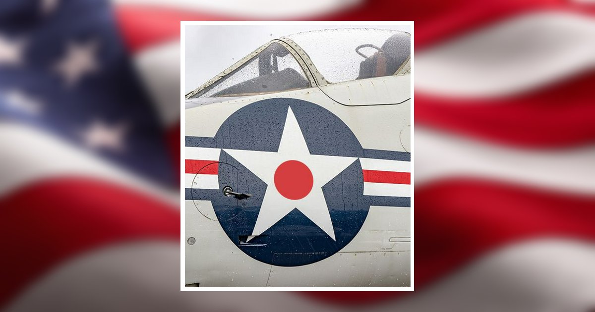 CMSgt. Lloyd Levon Rains, USAF (Ret.) Obituary May 16, 2025 ...