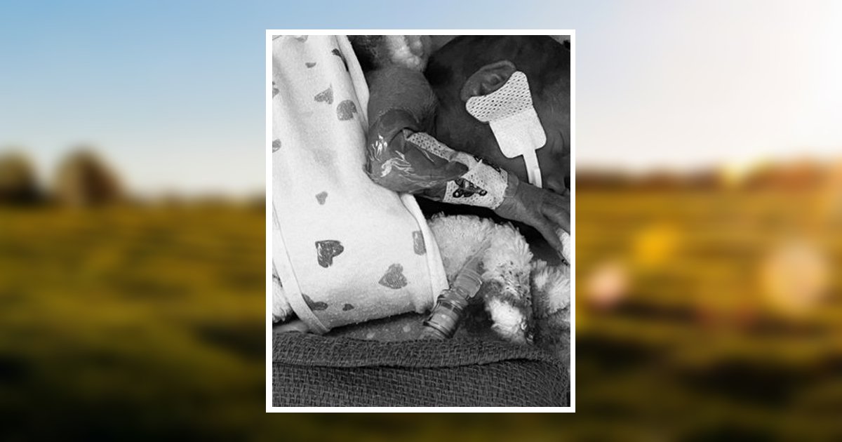 Alice-Dazia Jaclyn Mayes Obituary May 30, 2022 - Mynatt Funeral Homes