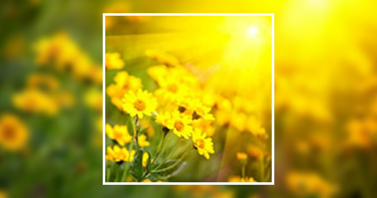 Phyllis J. Dunham Obituary March 29, 2020 - Zwick and Jahn Funeral Homes