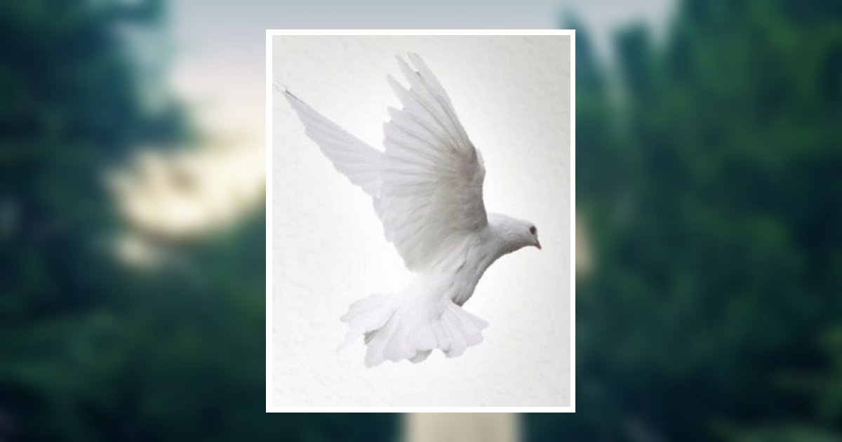 Suzanna Ruth Simon Obituary December 31, 2025 - Horan & McConaty ...