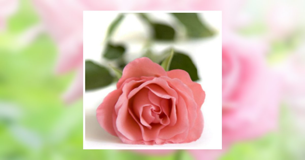 Anna Maria Shook Obituary April 8, 2019 - Newcomer Akron