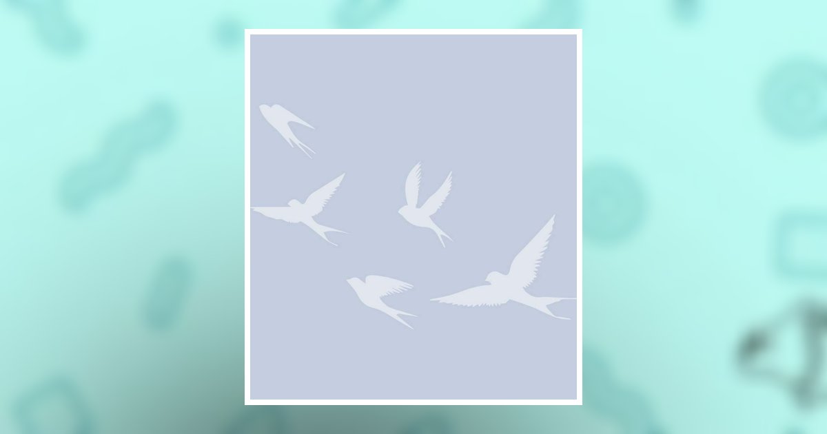 Jameson Jesse Bateman Obituary July 11, 2023 - Rudd Funeral Home