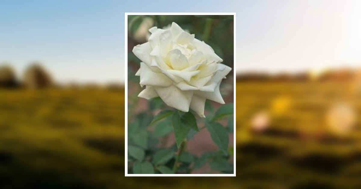 Lisa Trudell Flagg Obituary January 2, 2015 - Fay Brothers