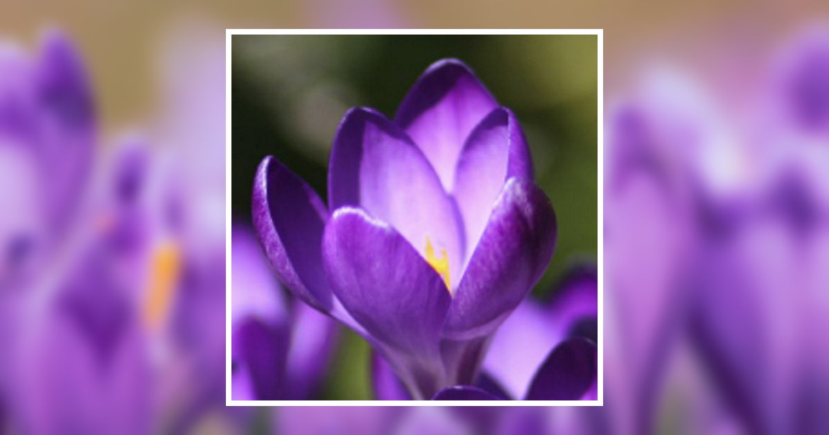 Nick J. Capps Obituary October 3, 2023 - Newcomer Dayton