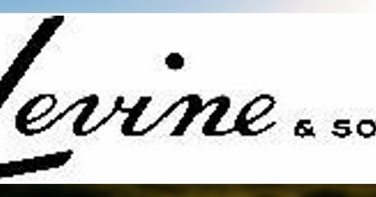 Joyce Spingarn Obituary - Joseph Levine and Sons