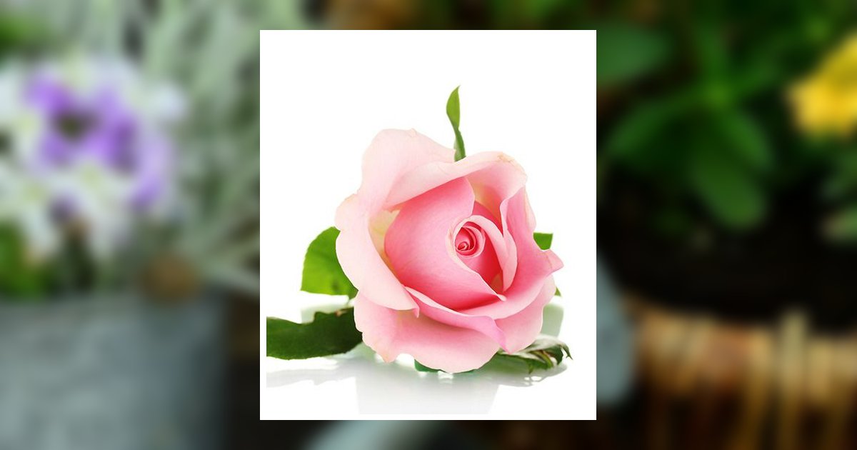 Glenda Louise Reece Obituary April 12, 2025 - Searcy Funeral Home and ...