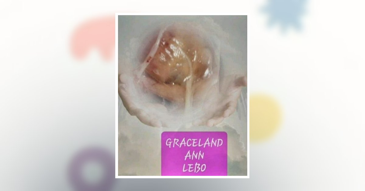 Graceland Ann Lebo Obituary March 29, 2023 - Bradford-O'Keefe Funeral Homes