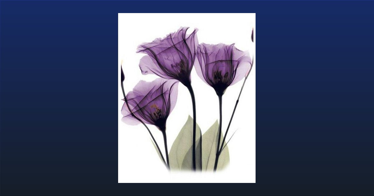 JUDITH ELAINE McKINLEY CROWDER Obituary April 22, 2025 - Harper & Lucas ...