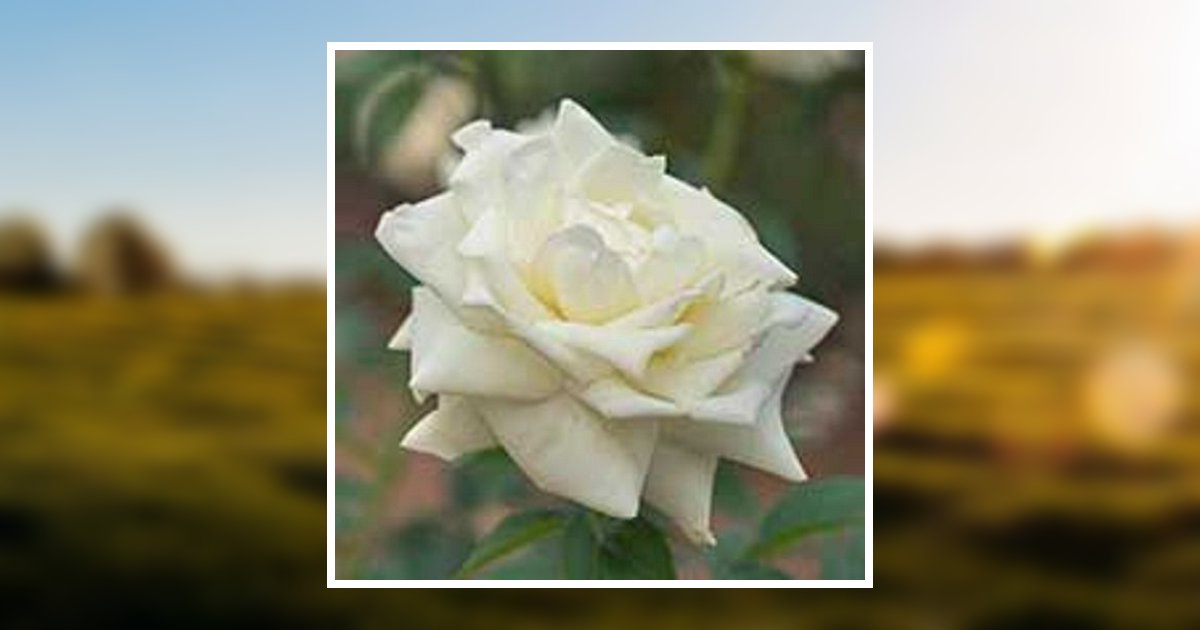 Charles B. Perry Obituary July 29, 2013 - Perry Funeral Chapel