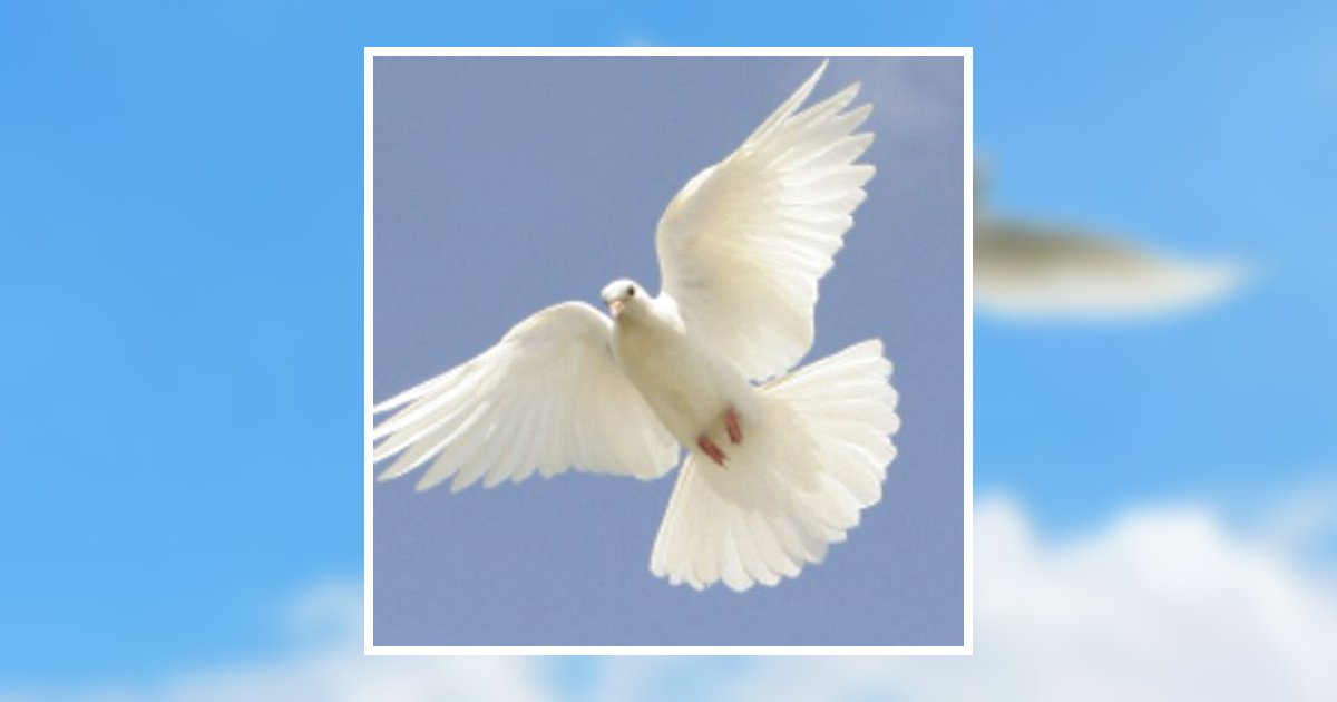 Alice Atkins Obituary July 18, 2014 - Newcomer Columbus Alice Atkins Obituary July 18, 2014 - Newcomer Columbus