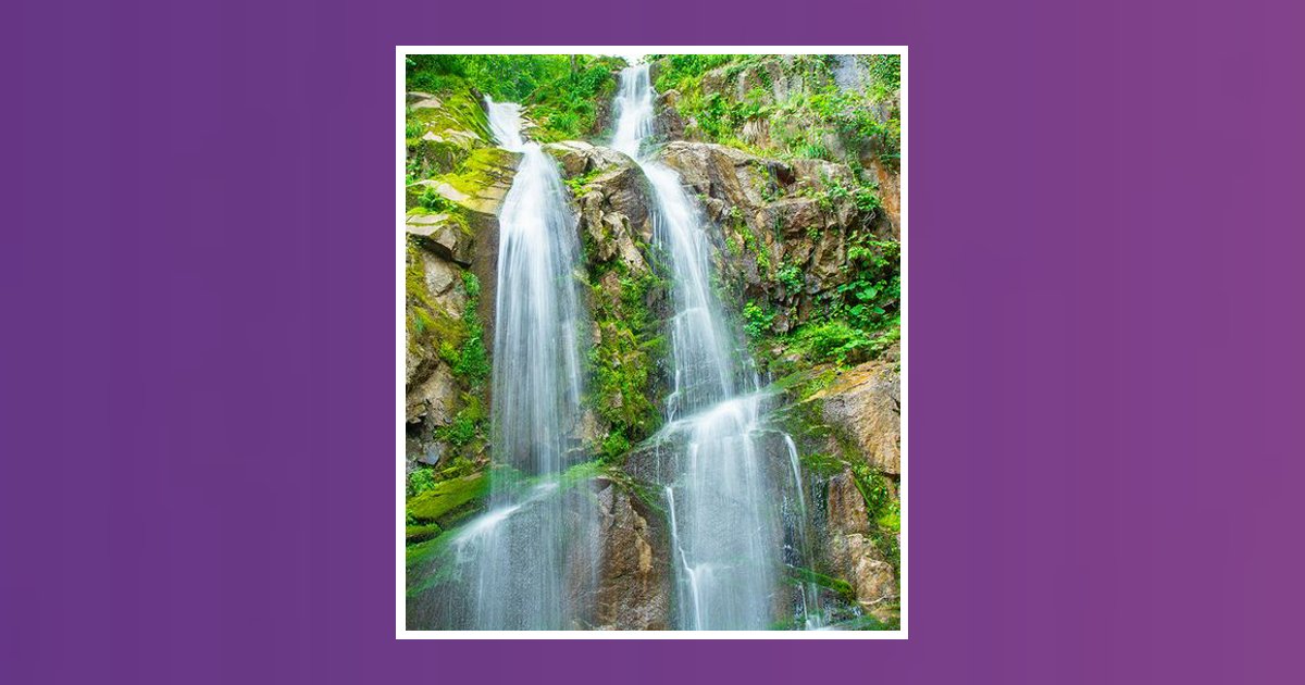 Walter J. Rollow Jr. Obituary July 6, 2025 - Rochester Cremation