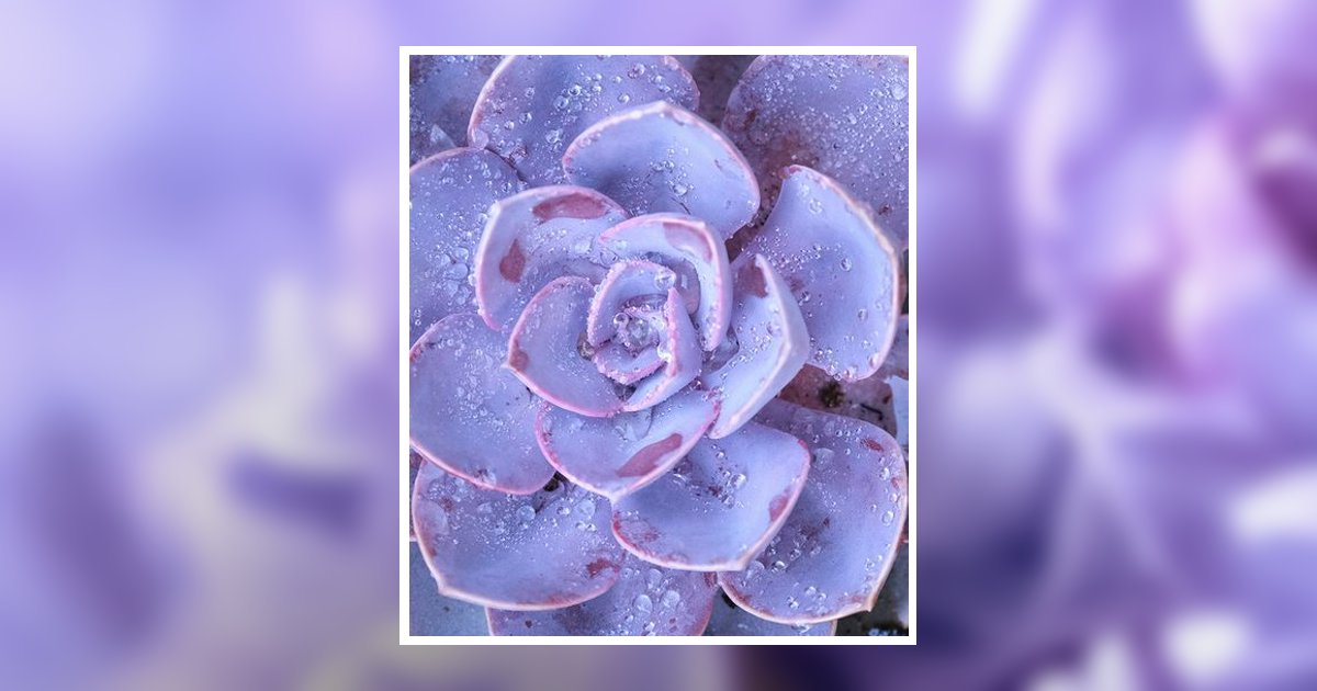Donna R. Ricke Obituary January 5, 2025 - Mueller-Bies Funeral Homes Donna R. Ricke Obituary January 5, 2025 - Mueller-Bies Funeral Homes