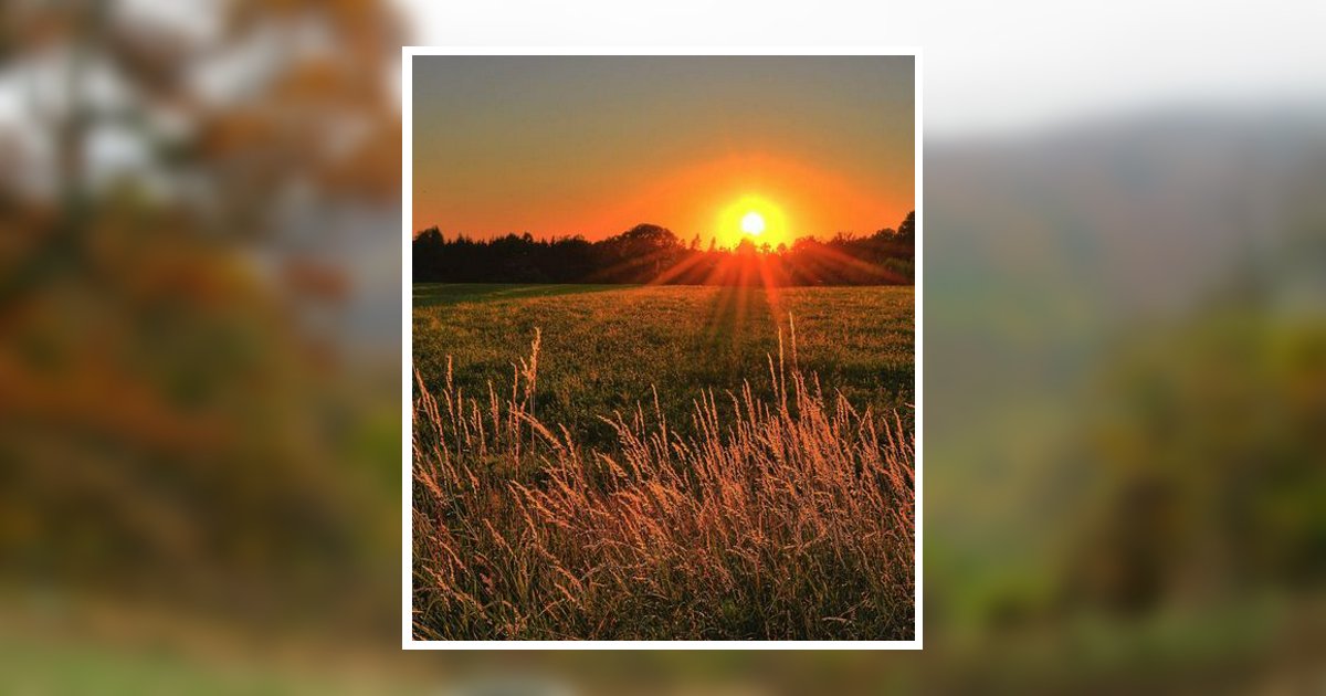 Edward Junior Roark, Jr. Obituary October 10, 2024 - Badger Funeral Home