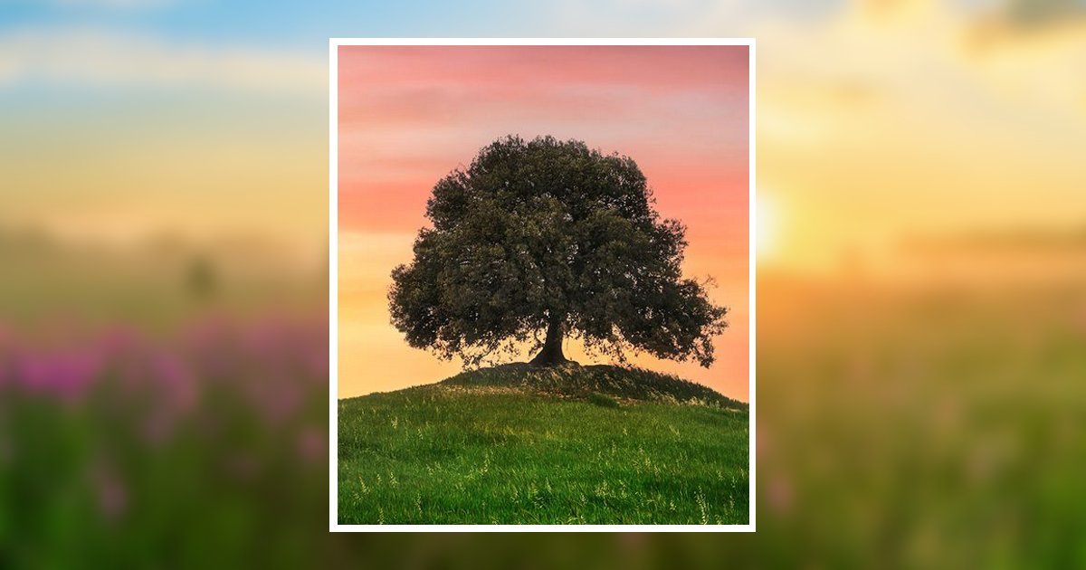 Louise Margaret Tansey Obituary February 24, 2025 - Behe Funeral Home