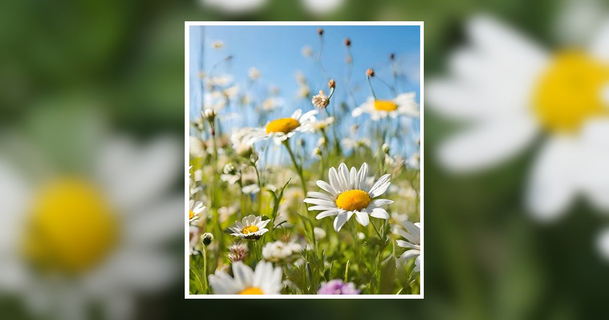 Clara Luz Sterner Obituary May 17, 2025 - Mississippi Valley Cremation ...