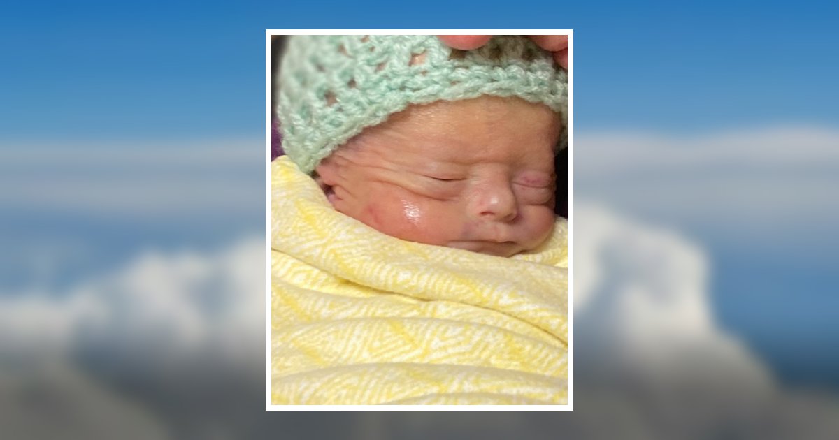 Donovan Graham Obituary February 14, 2025 - Baue Funeral Homes