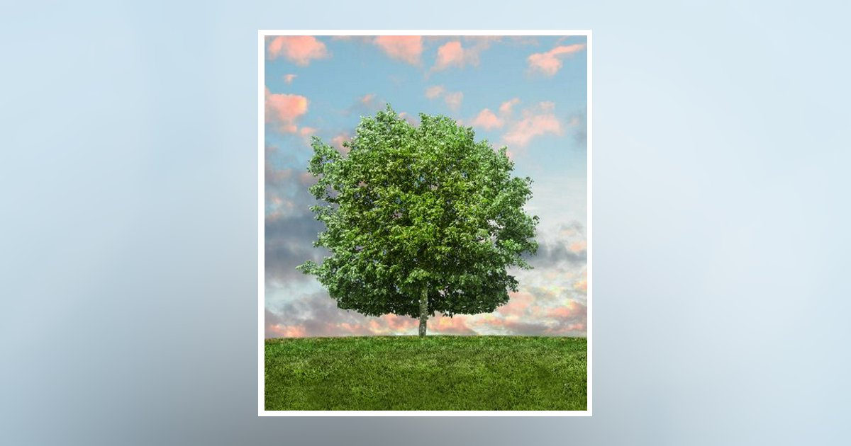 David J. Swick Obituary October 7, 2024 - Kerry Funeral Home