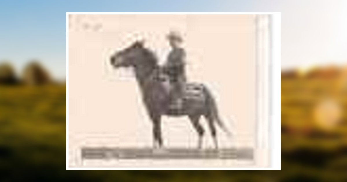 Thomas Steffes Obituary May 21, 2016 - Garden City Funeral Home and ...