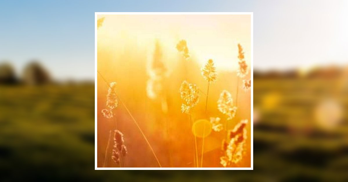 Cecilia Fritsch Obituary January 4, 2017 - Ranfranz and Vine Funeral Homes