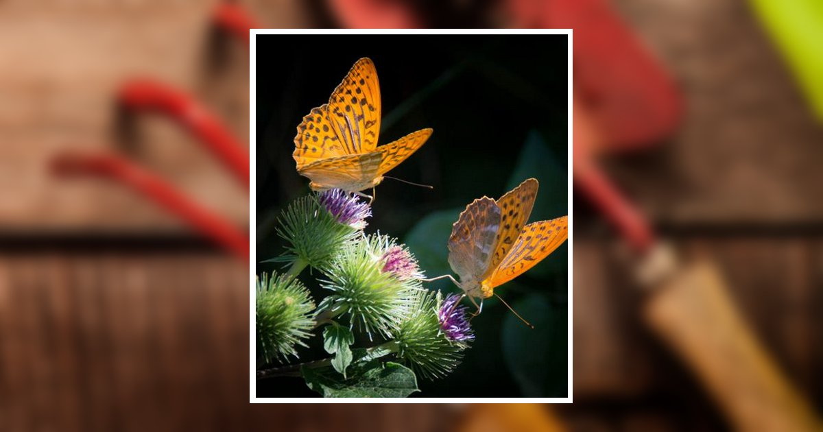 Louise C. Knowlan Obituary December 26, 2022 - Mueller-Bies Funeral Homes