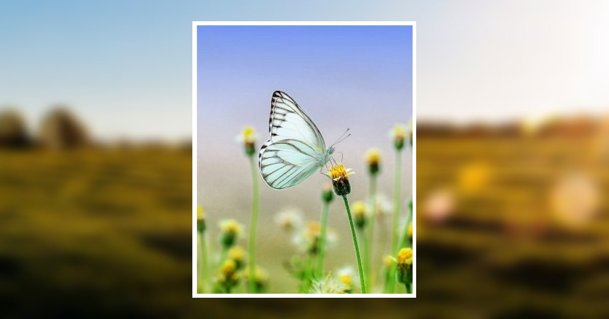 Sharon Kay Rees Obituary July 23, 2025 - Daly-Leach Chapel & Crematory