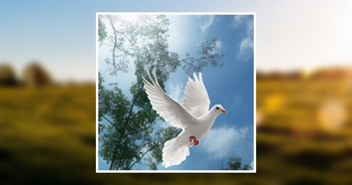 Mikey Ray Sparkman Obituary March 14, 2023 - Agent Mallory Martin