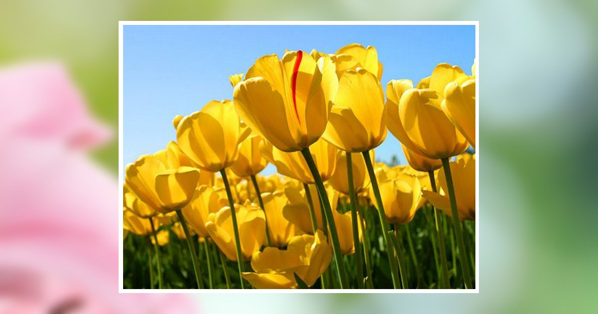 Michael Vincent Cuison Leones Obituary February 16, 2017 - Forest Lawn