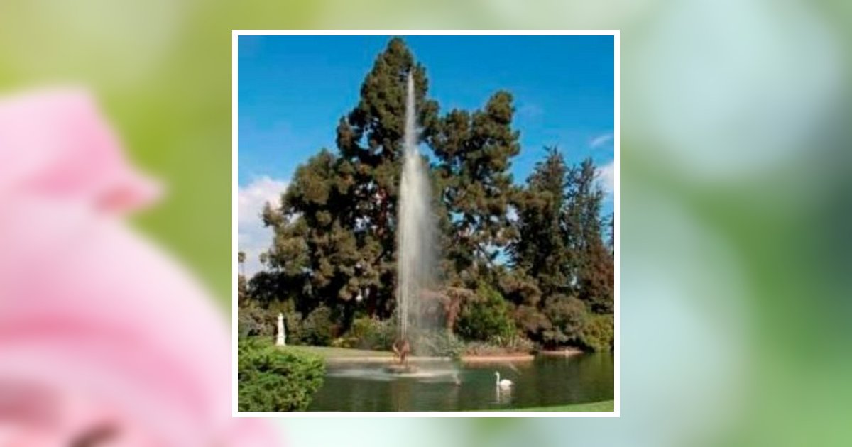 Norma Wayne Larson Obituary March 1, 2013 - Forest Lawn