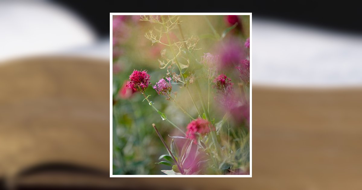 Leslie Maynard Booth Obituary May 15, 2025 - J.T. Morriss & Son Funeral ...