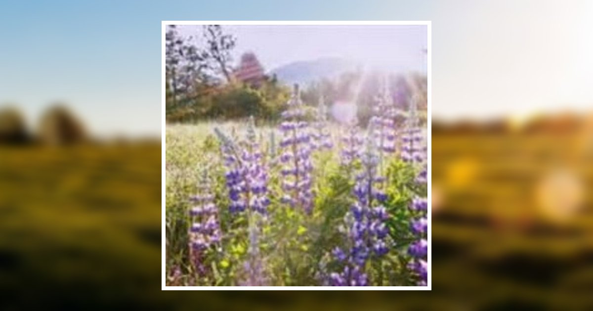 Patricia Ann Cheek Obituary October 11, 2022 - Tyree Funeral Home