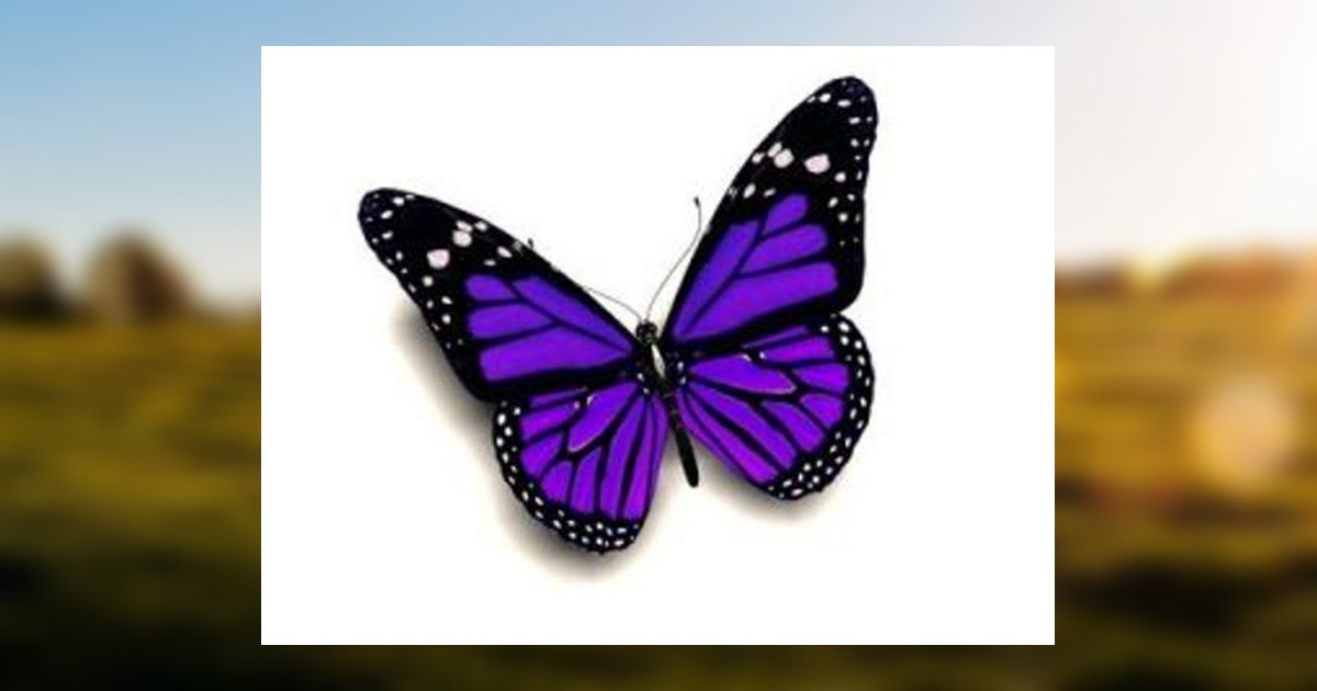 Alice Geneva (Coffey) Bierkamp Obituary January 20, 2023 - Davis ...