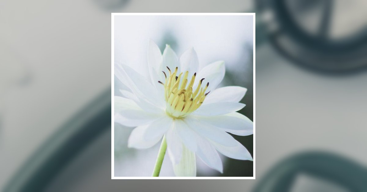 Gloria Jean Pulliam Obituary December 12, 2024 - Lord & Stephens Funeral Homes