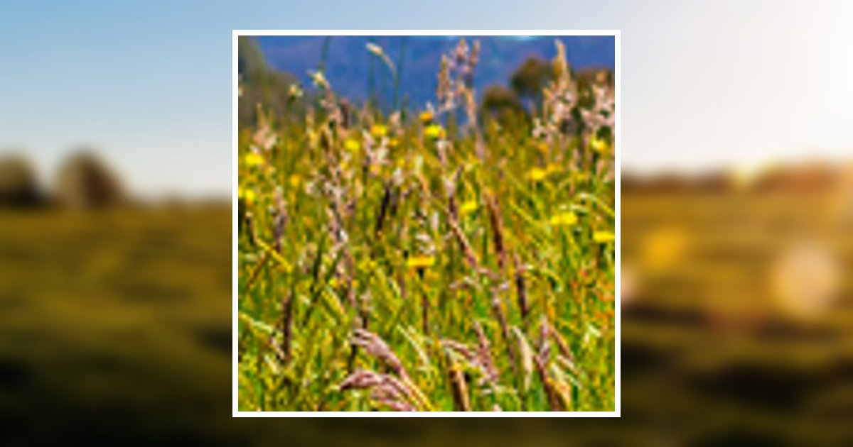 Stephen Brant Ashley Obituary January 16, 2021 - Harris Funeral Home ...