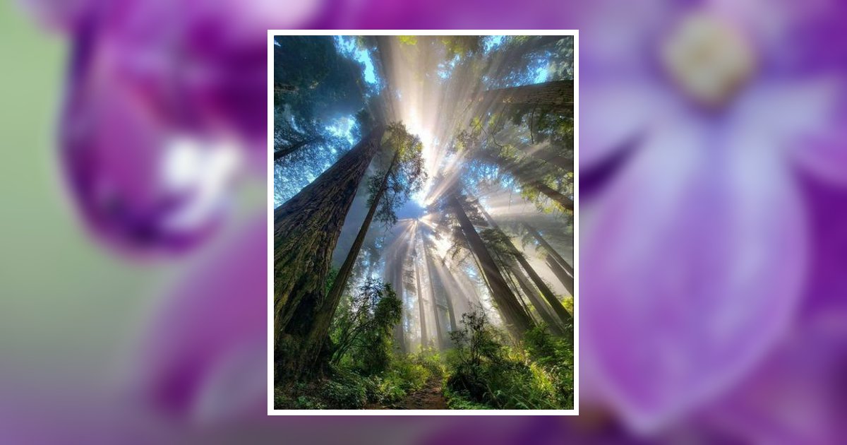 Patricia Carole McGhee Obituary November 10, 2023 - Jones Mortuary, LLC Patricia Carole McGhee Obituary November 10, 2023 - Jones Mortuary, LLC