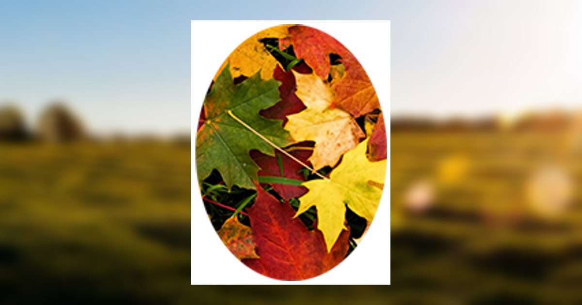 Stanley Sherrell Obituary December 5, 2016 - Worley-Luginbuel Funeral ...