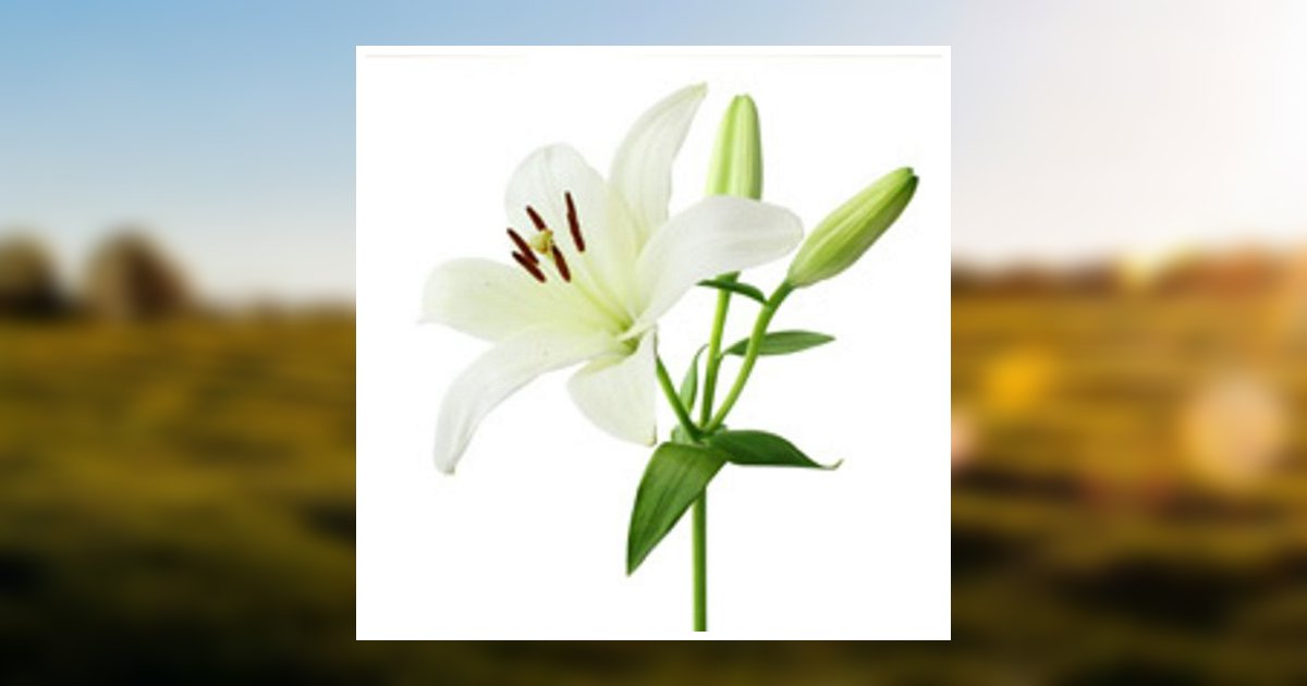 Kathleen Marie Greer Obituary August 3, 2022 - Marion Nelson Funeral Home