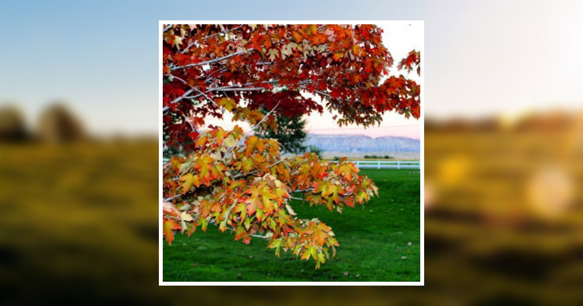 Ronald Flaga Obituary January 6, 2019 - Brown's Cremation & Funeral Service