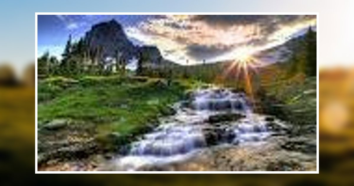 Robert Leston Wright Obituary December 12, 2015 - Low Country Cremation ...