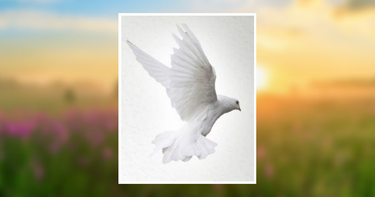 Deborah Anne Samuels Obituary September 19, 2024 - Horan & McConaty ...