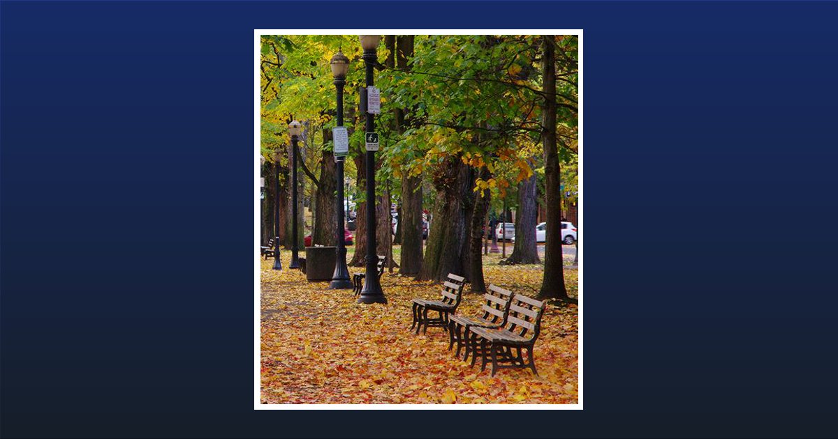 Frank Collins Jr Obituary January 13, 2025 - Serenity Funeral Services