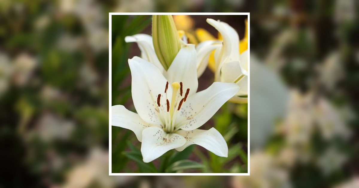 Eloise F. Parker Obituary December 25, 2025 - Mangano Family Funeral ...