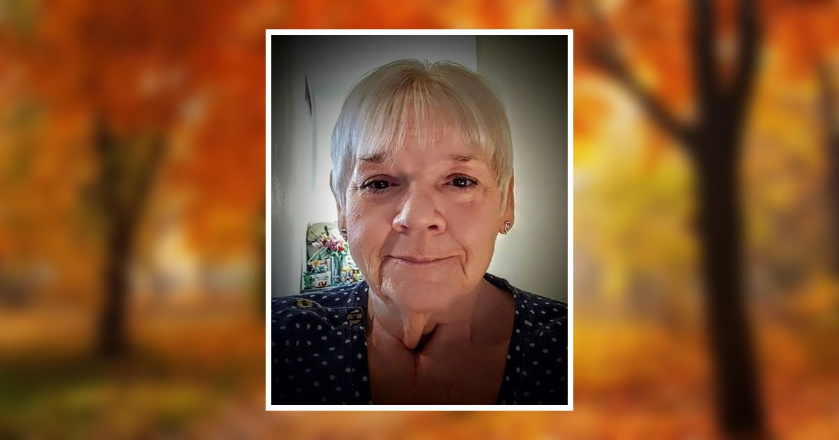 Paula Ann Wahby Obituary September 24, 2024 - Newcomer St. Louis