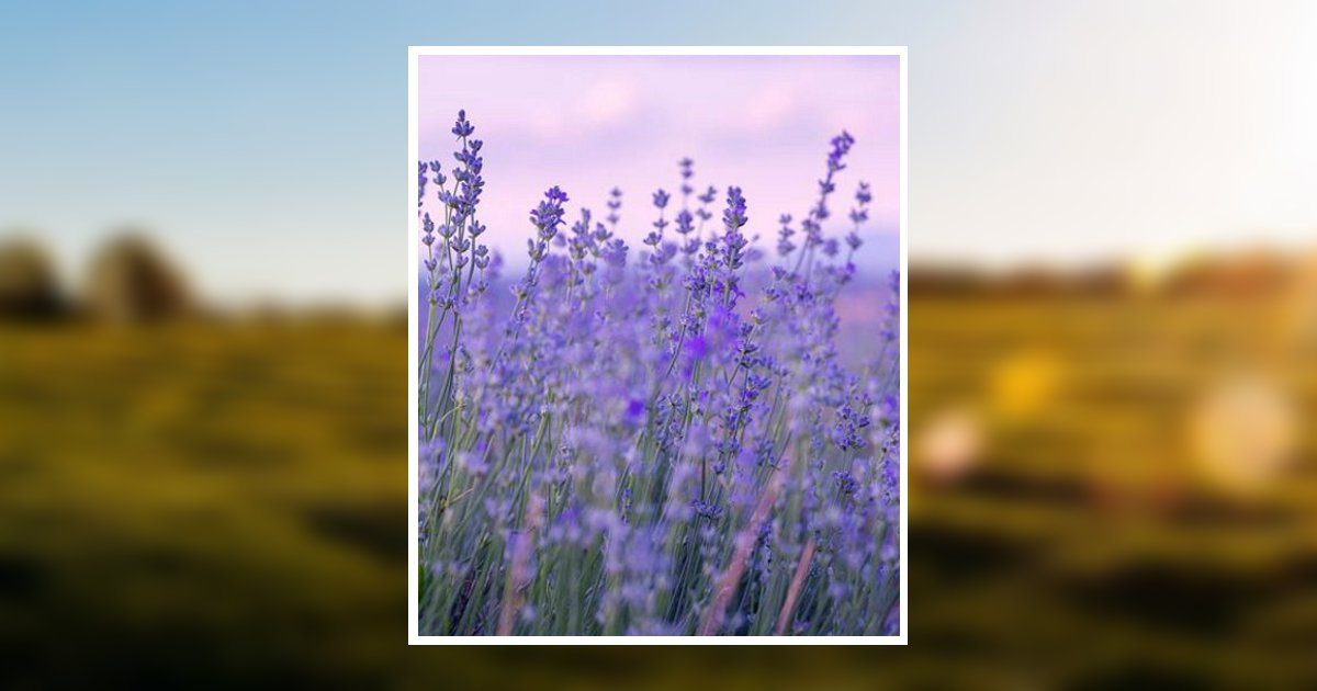 Sharon Lenore Norris Obituary April 10, 2025 - Bowman Funeral Directors